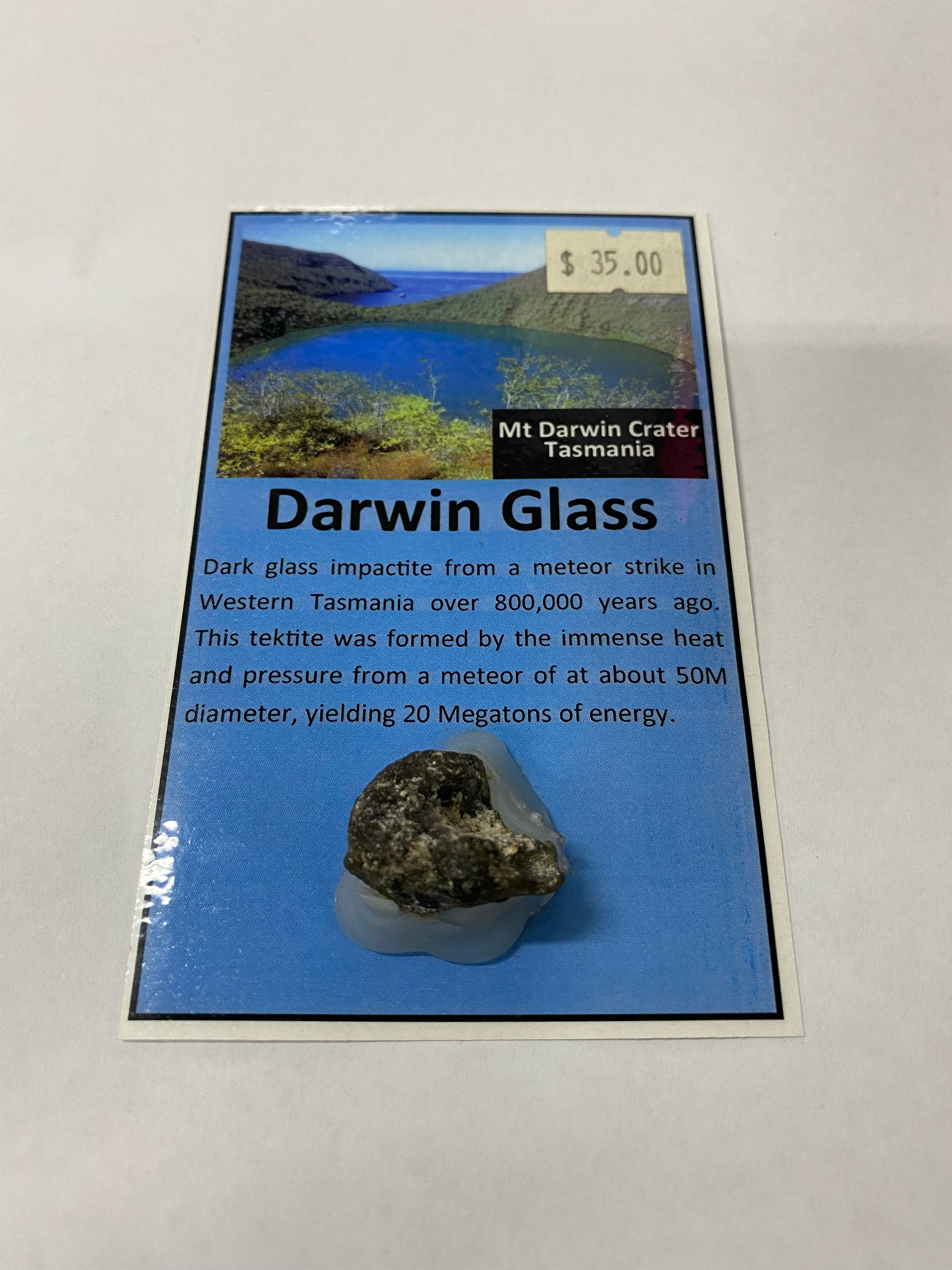 DARWIN GLASS